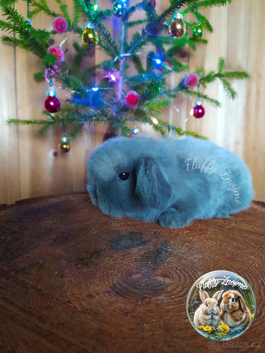 Minilop Znojmo - Znojmo | Bazoš.cz