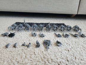 Warhammer Fantasy Goblin Spider Riders x 10 (2000) - Praha 6 | Bazoš.cz