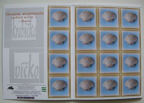 Pexeso s mořskými mlži (Bivalvia) NOVÉ - Praha 5 | Bazoš.cz